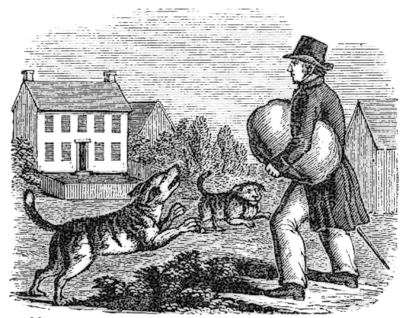 All are not thieves that dogs bark at · meaning · Proverb Hunter