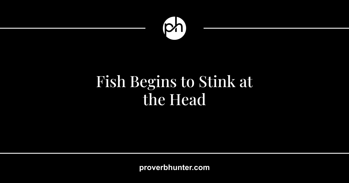 Fish begins to stink at the head · meaning · Proverb Hunter